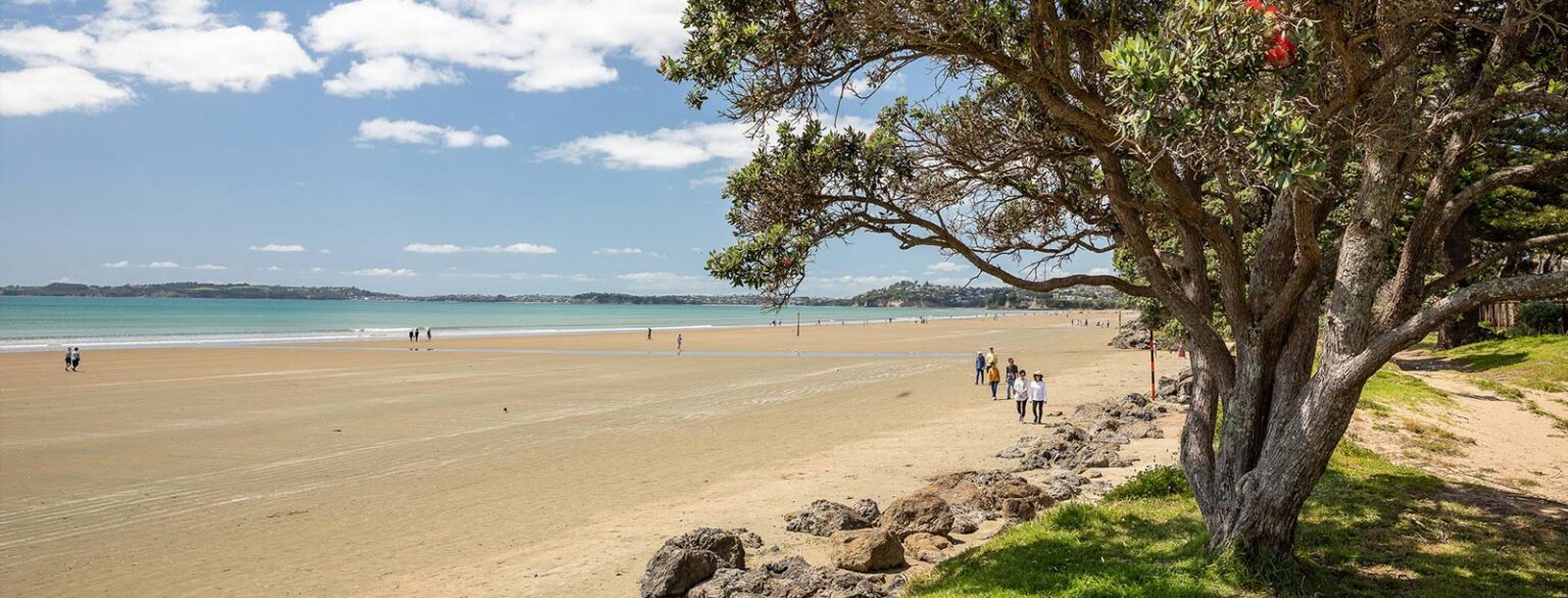 Kensington Park Orewa - Brand New Apartments & Townhouses
